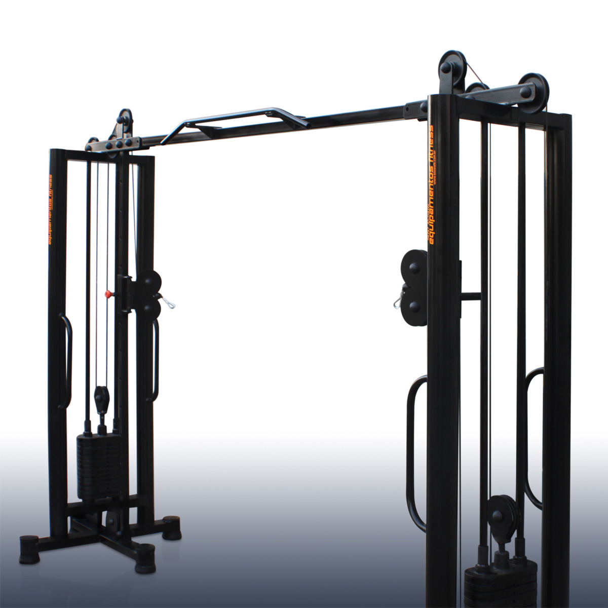 Cross Over | Bio Walk